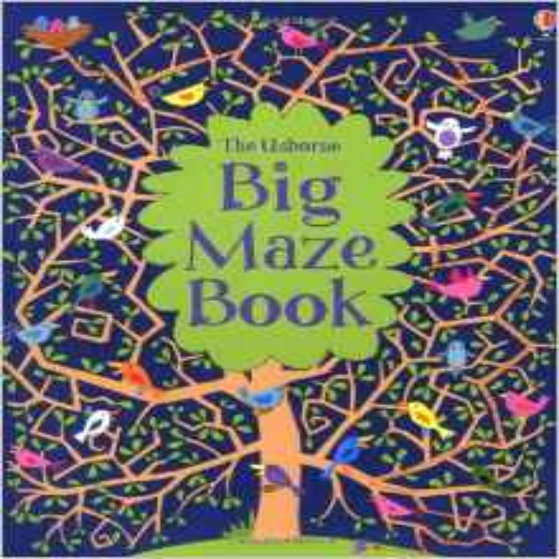 英文原版 Big Maze Book 儿童读物 华丽丽滴迷宫游戏书