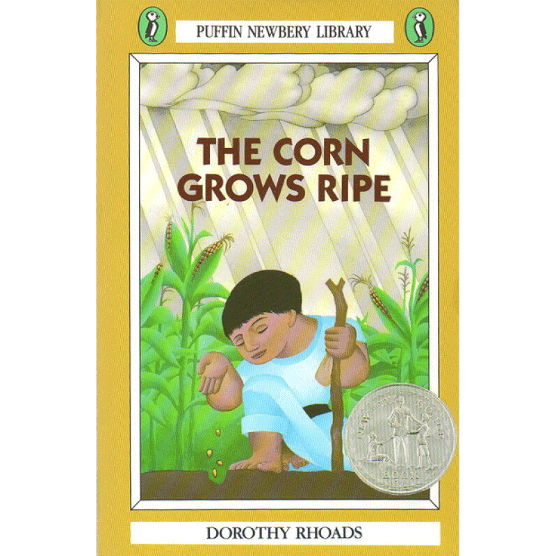 预售 The Corn Grows Ripe 玉米熟了 英文儿童文学纽伯瑞银奖儿童小说 英文原版
