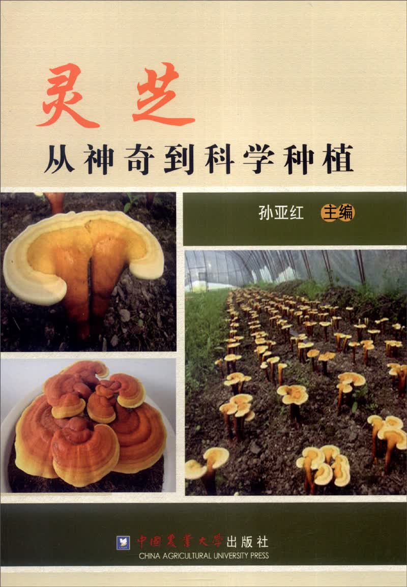 灵芝从神奇到科学种植