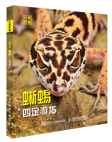 四足游龙 蜥蜴（异步图书出品）