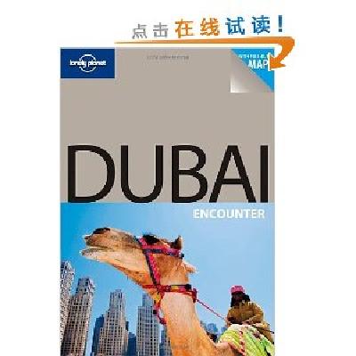 预售 孤独星球 Dubai 迪拜