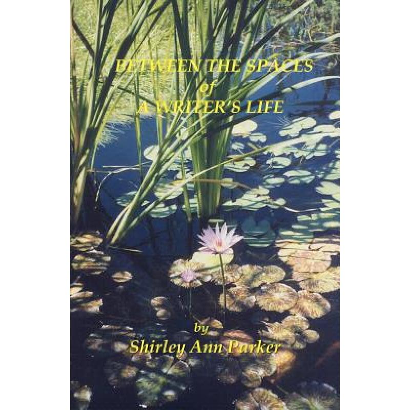 Between the Spaces of A Writer's Life