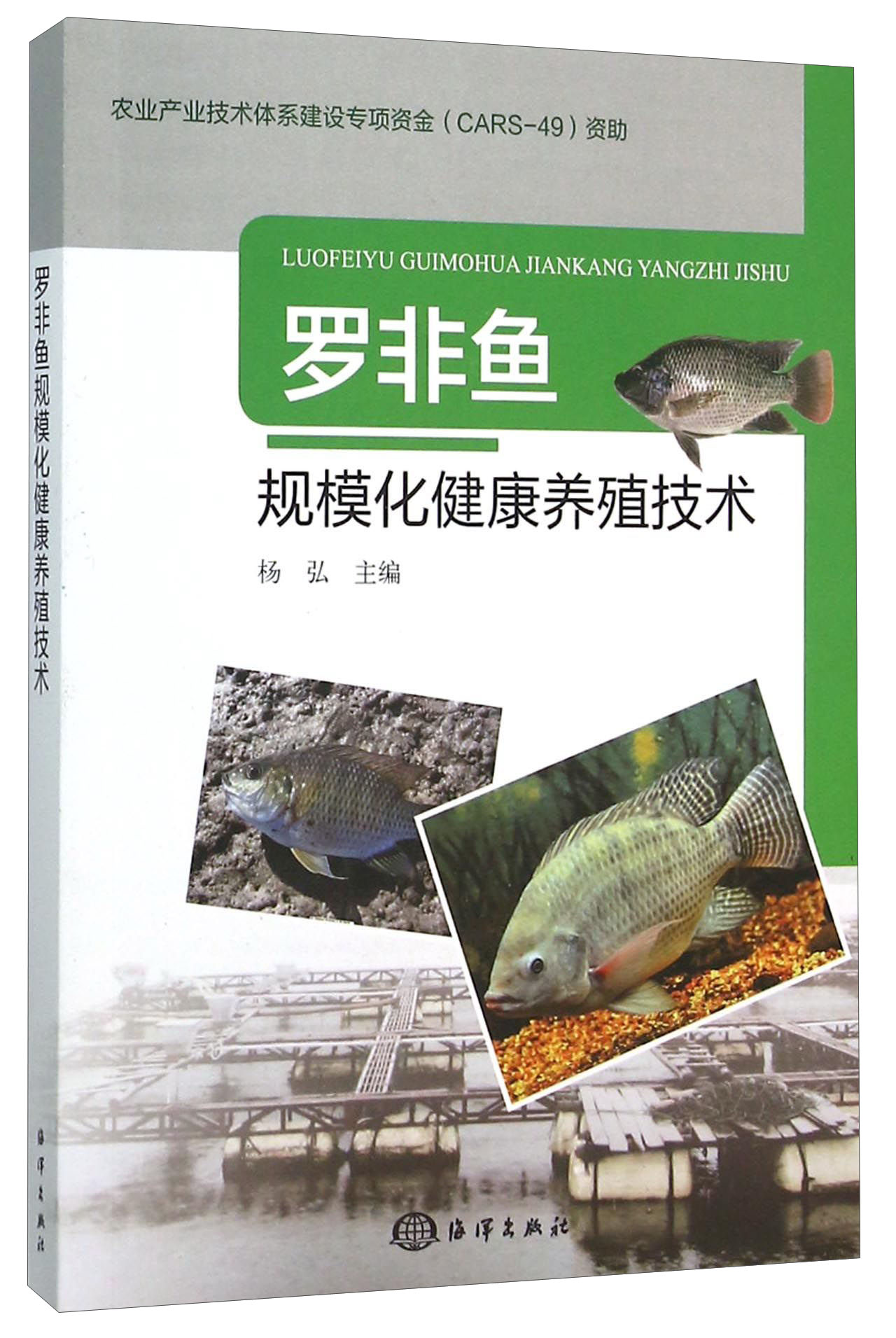 罗非鱼规模化健康养殖技术《现货速发》