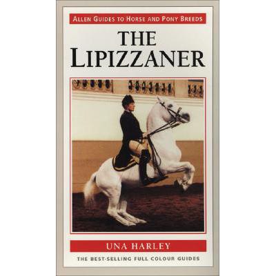 Lipizzaner Horse the