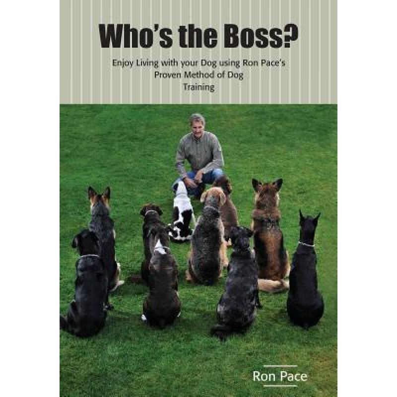 Who's the Boss?