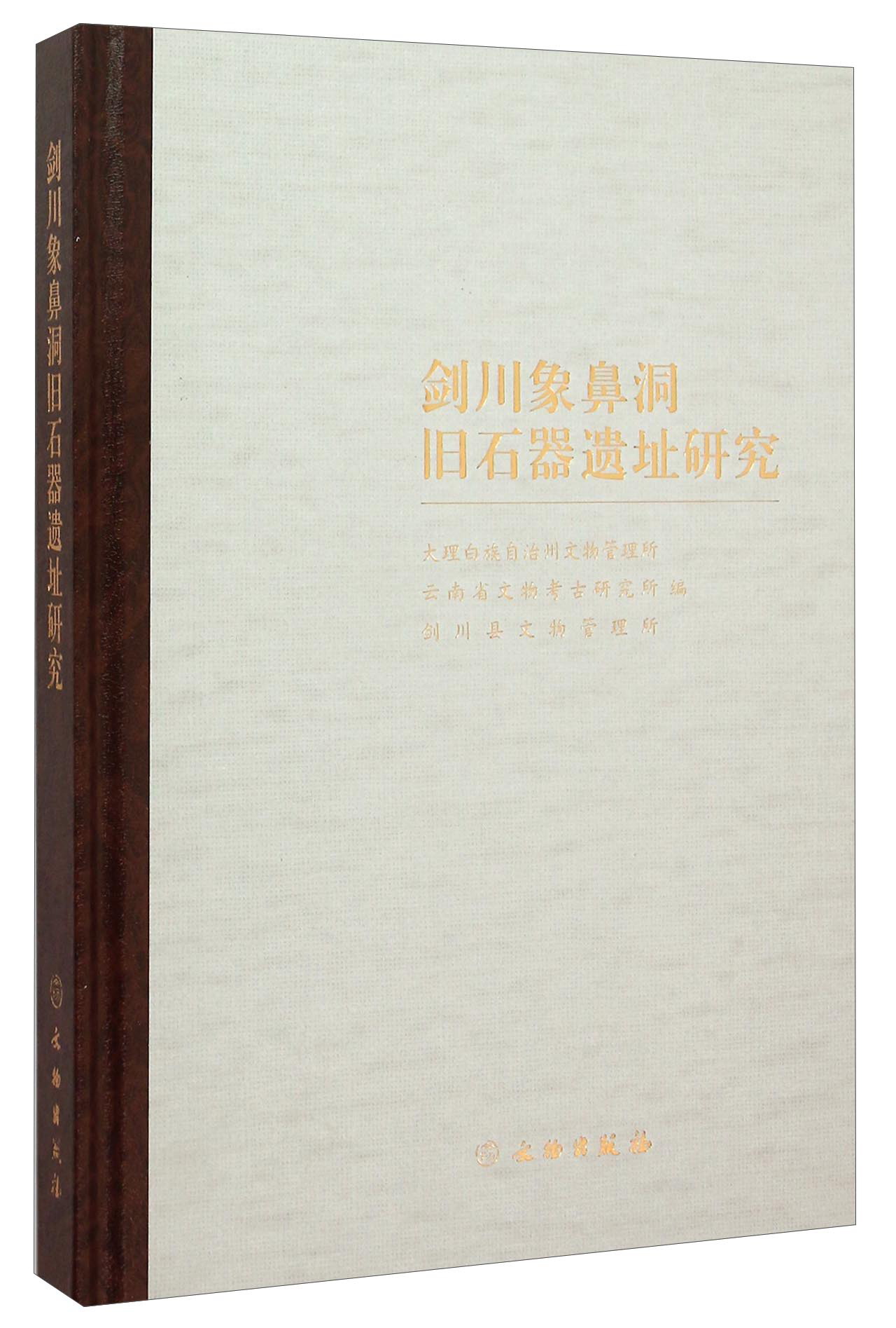 剑川象鼻洞旧石器遗址研究