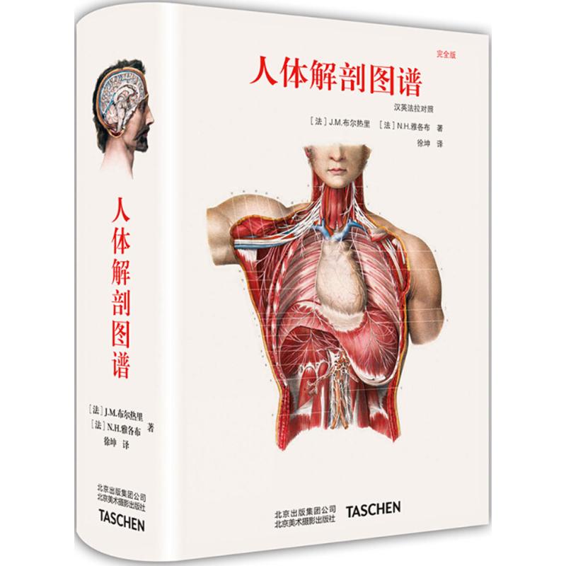 人体解剖图谱(接近版)