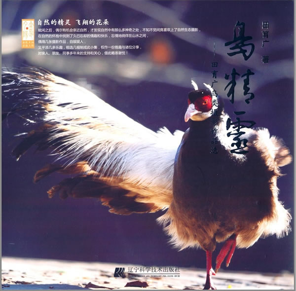 鸟精灵-田育广鸟类摄影作品选 摄影 田育广著 辽宁科学技术出版社 9787538184587
