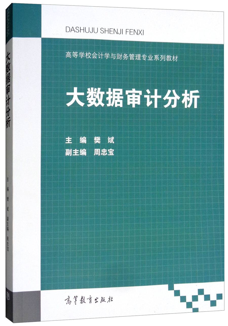 大数据审计分析/高等学校会计学与财务管理专业系列教材