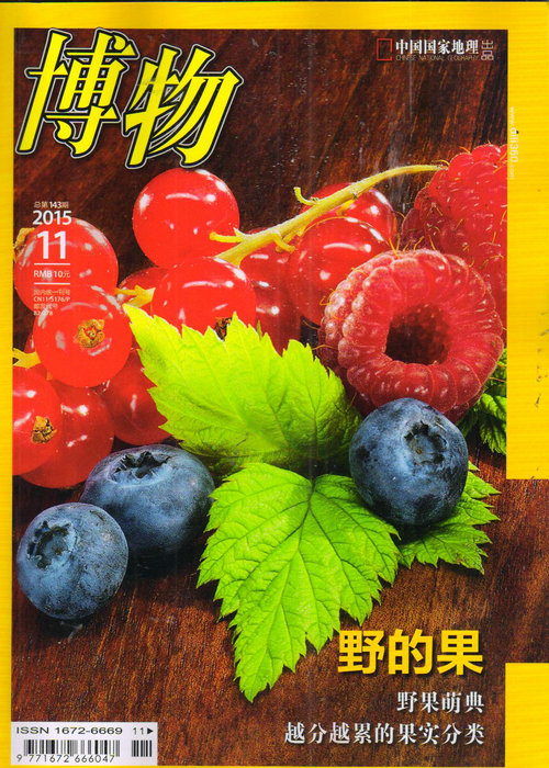 博物（2015年11月号）
