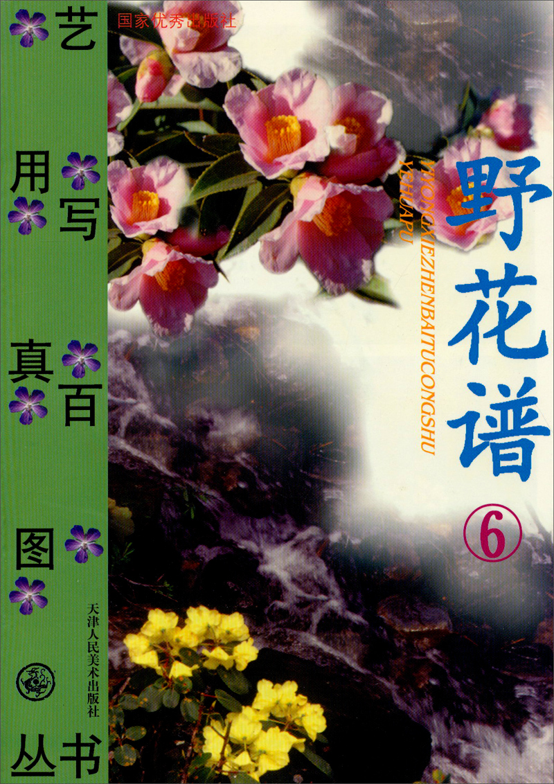 艺用写真百图丛书：野花谱6