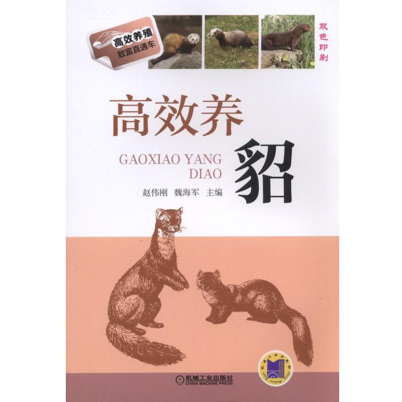高效养貂 赵伟刚 魏海军主编