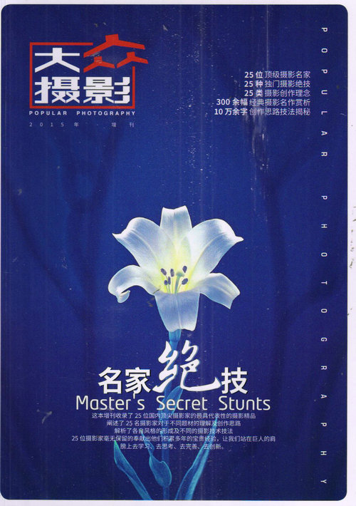 大众摄影（2015年增刊）（名家绝技）
