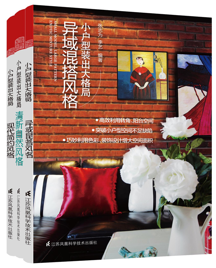 小户型装出大格局套装：现代简约风格+清新自然风格+异域混搭风格（套装共3册）