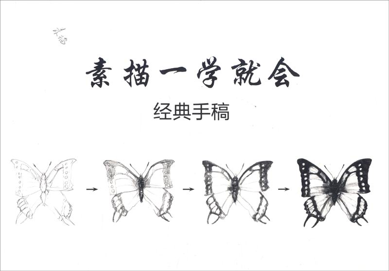 经典大礼包：零基础素描一学就会