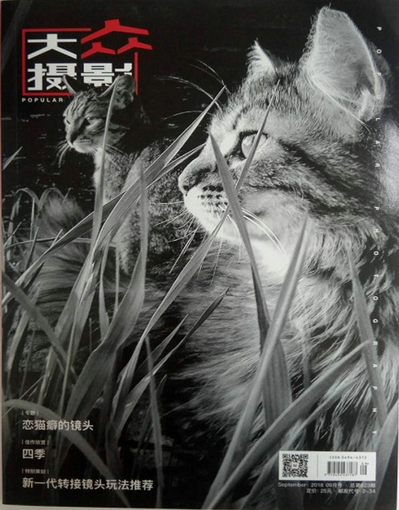 大众摄影（2018年9月号）