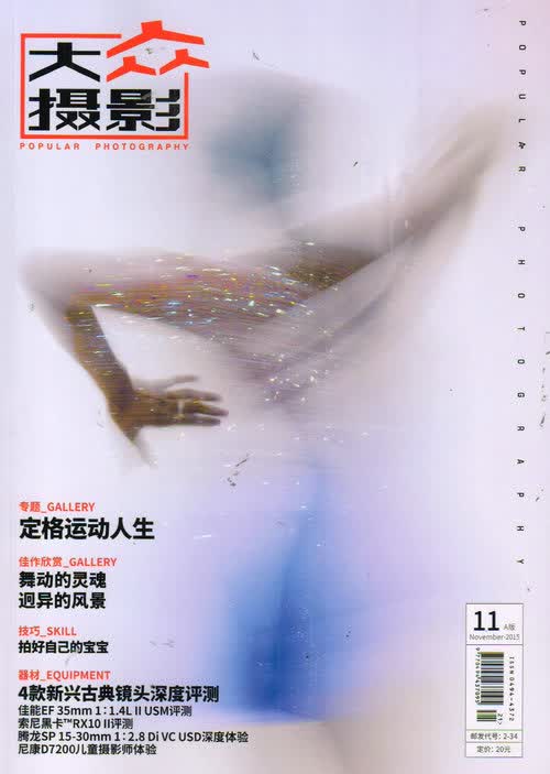大众摄影（2015年11A月号）