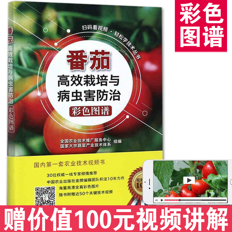 农业书籍番茄高效栽培与病虫害防治彩色图谱高效西红柿栽培病虫害防治种植技术大全书农药知识农