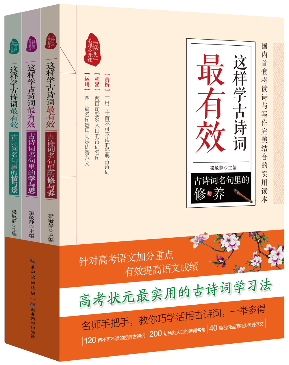 这样学古诗词最有效套装（全3册）高中生古诗词课外阅读 高考语文加分学习写作辅导书