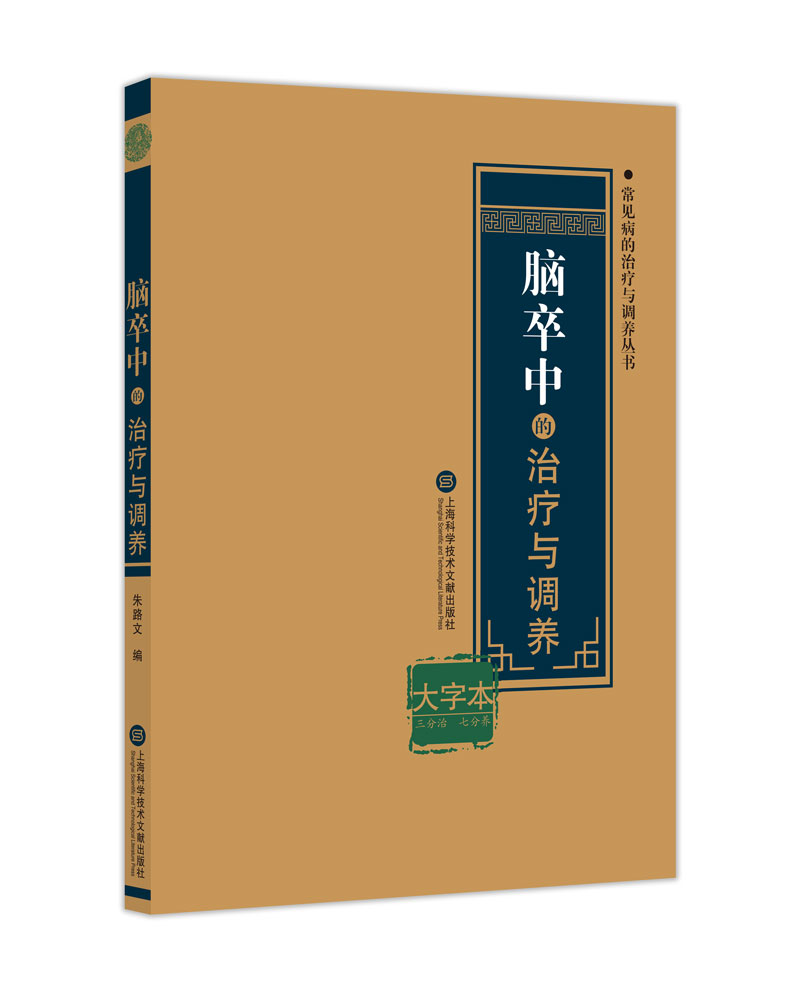 脑卒中的治疗与调养:大字本9787543976382