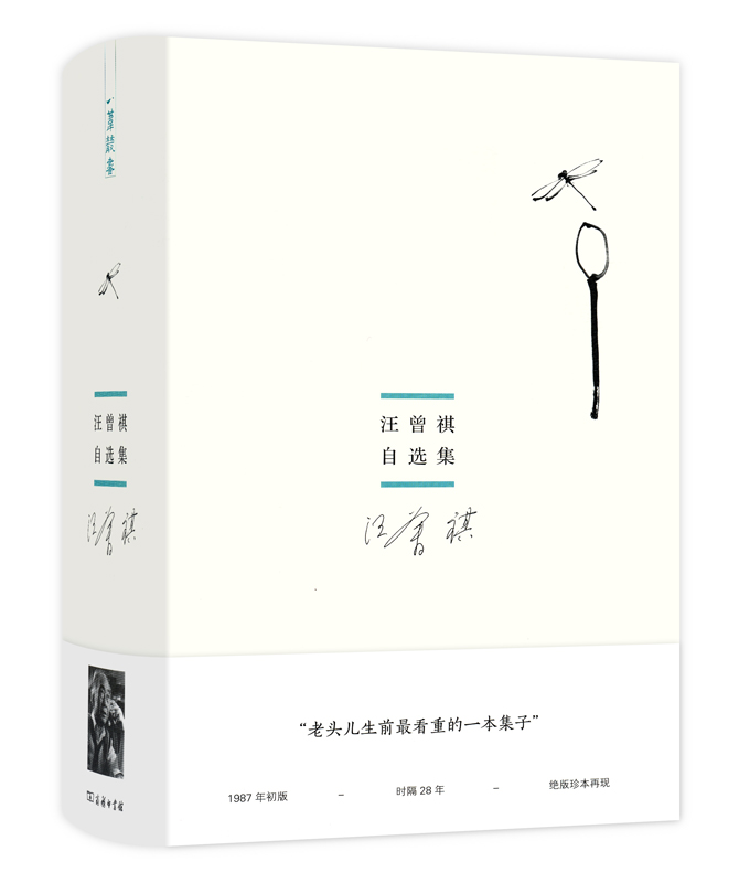 汪曾祺自选集