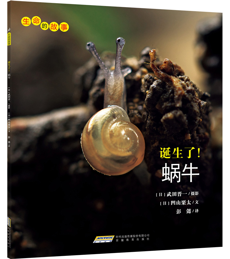 生命的故事：诞生了！蜗牛