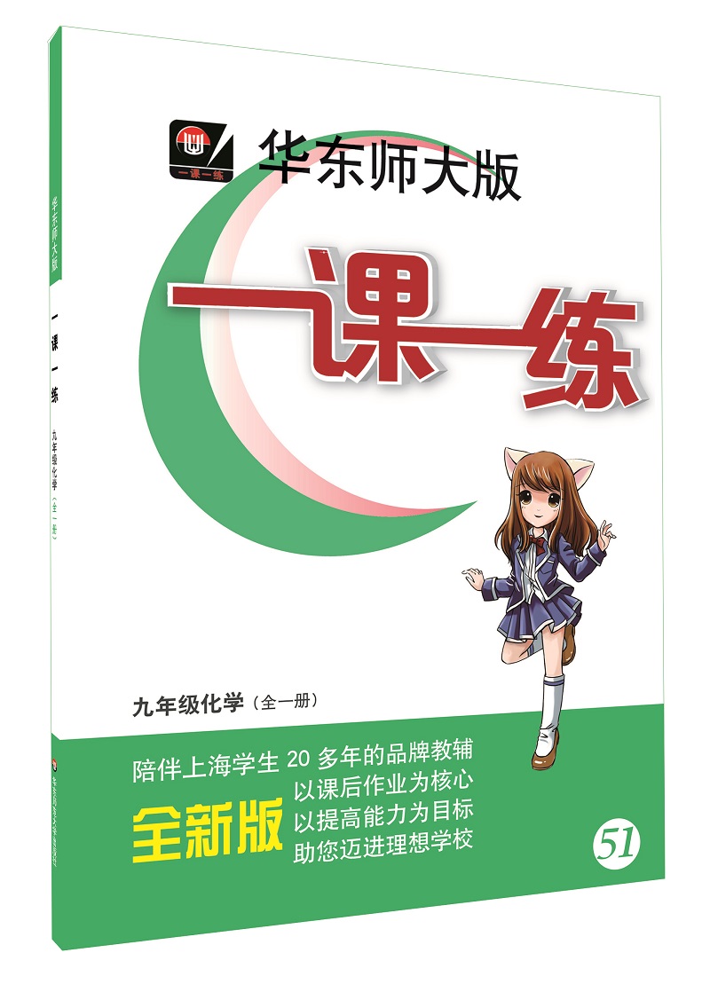 2019春适用一课一练·九年级化学(全一册)