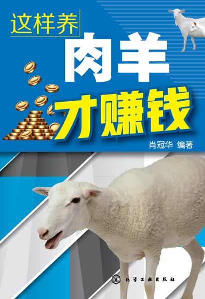 这样养肉羊才赚钱 肖冠华 编著