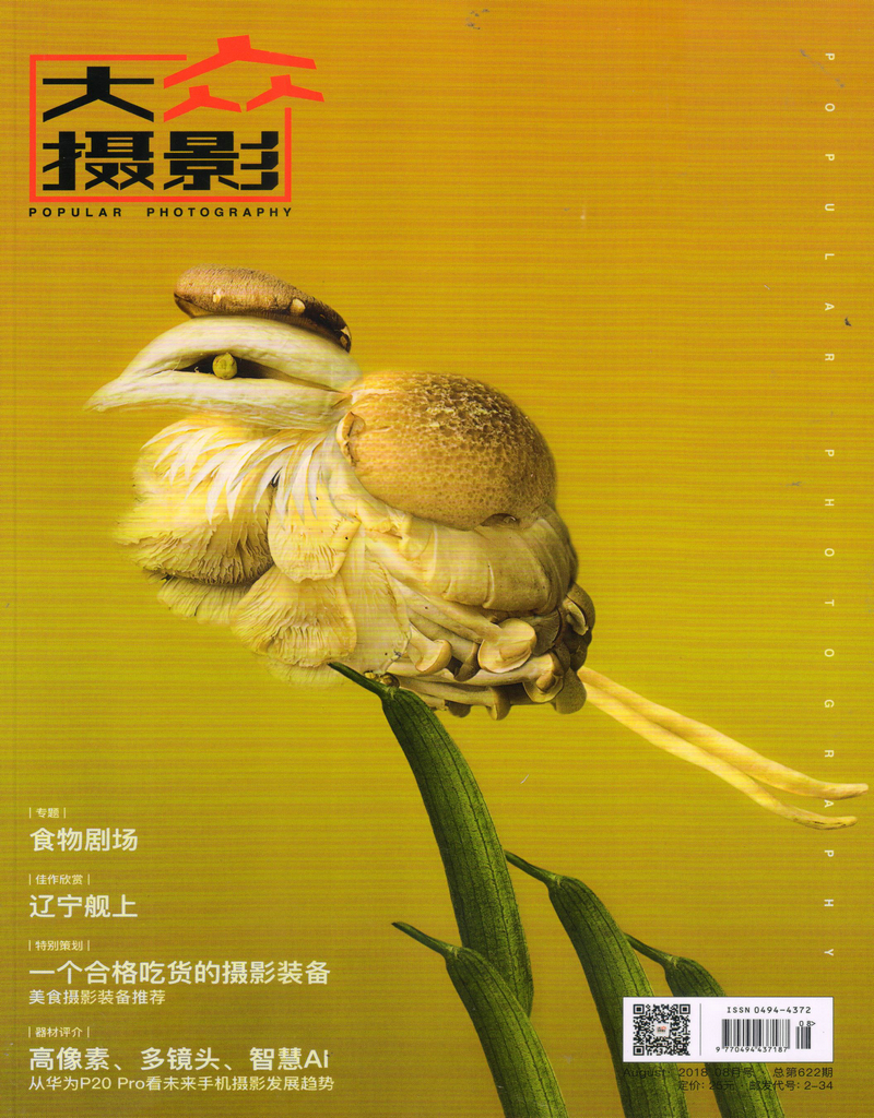 大众摄影（2018年8月号）