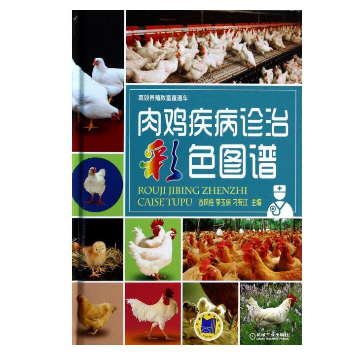 肉鸡疾病诊治彩色图谱
