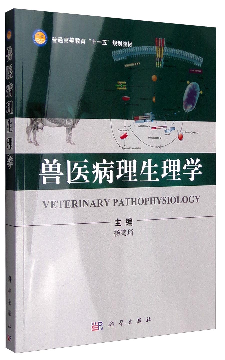兽医病理生理学