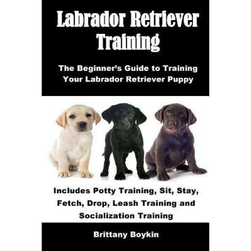 Labrador Retriever Training: The Beginner's Guide to Training Your Labrador Retriever Puppy: I...