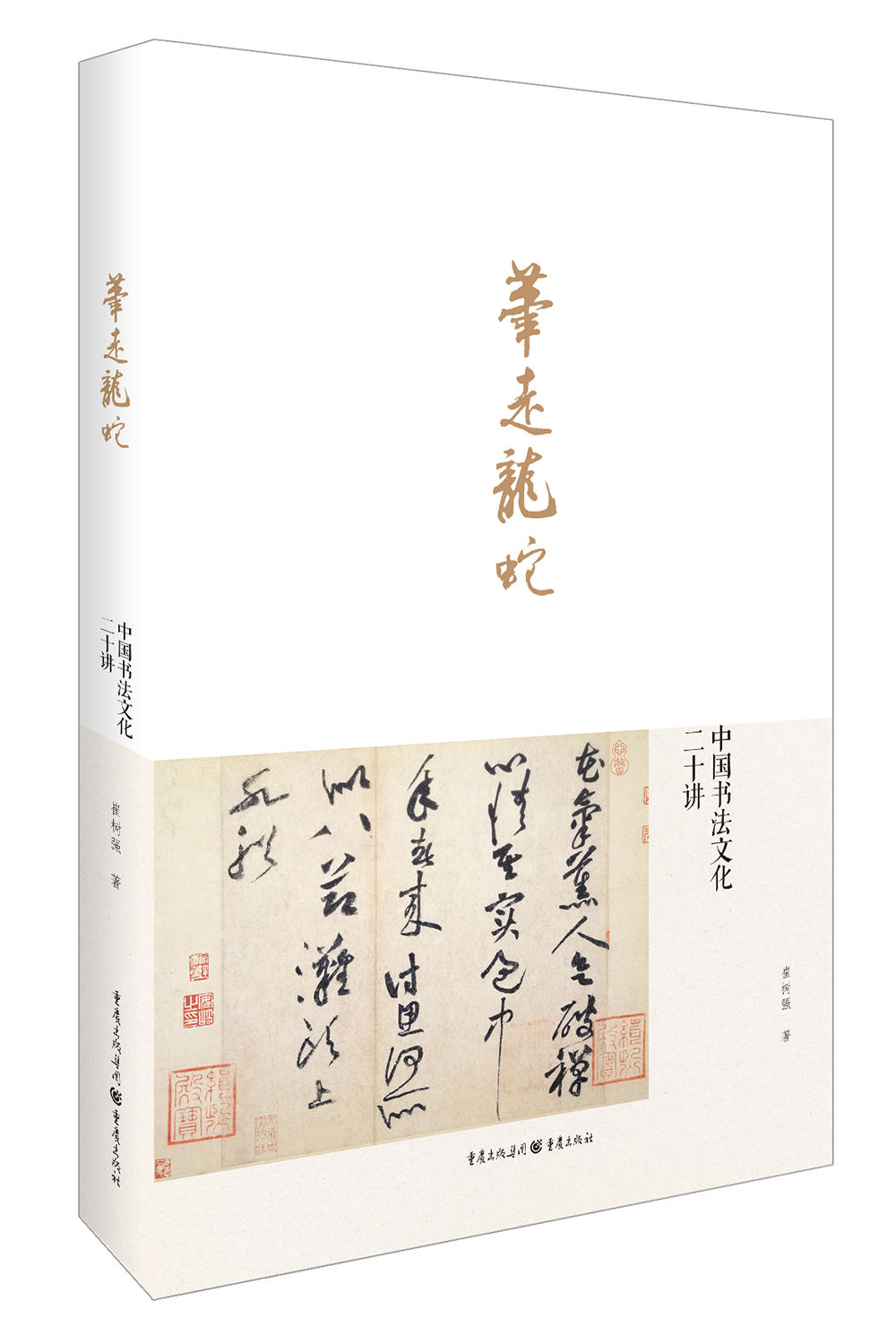 笔走龙蛇:中国书法文化二十讲