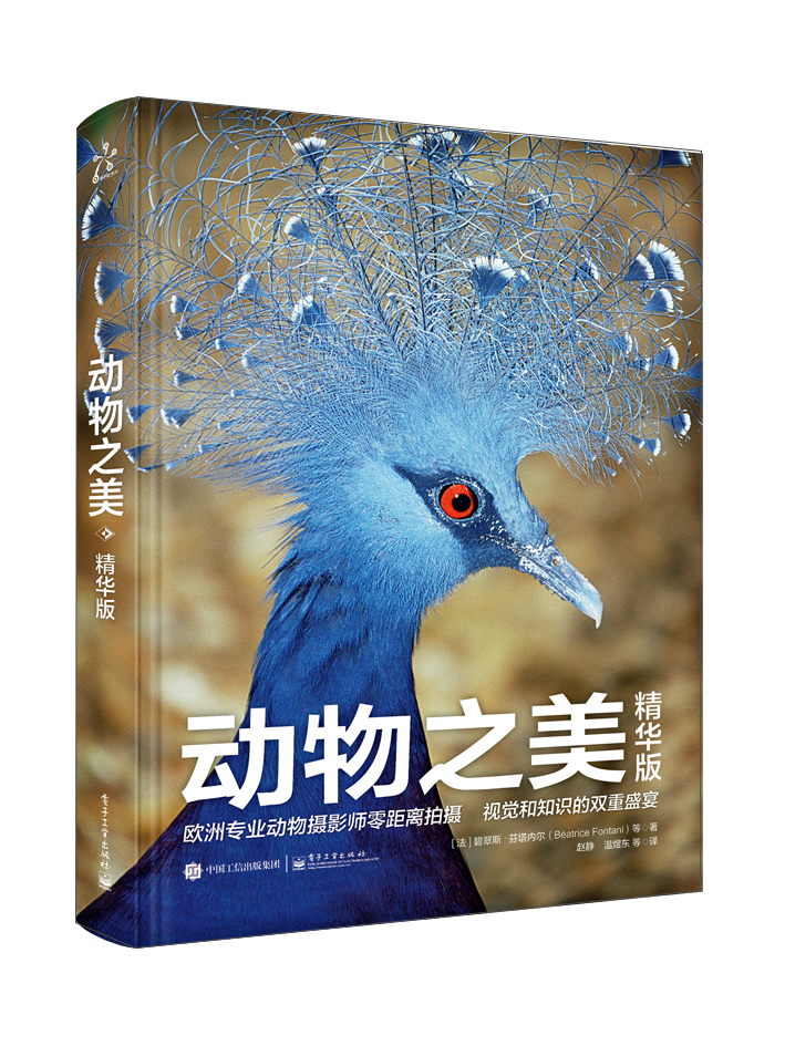 动物之美 精华版 精装版 全彩