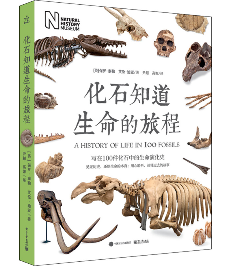 化石知道生命的旅程（精装版）（全彩）