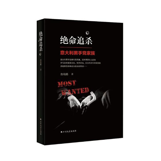 绝命追:意大利黑手家族 政治/军事 詹幼鹏著 北方文艺出版社 9787531742005