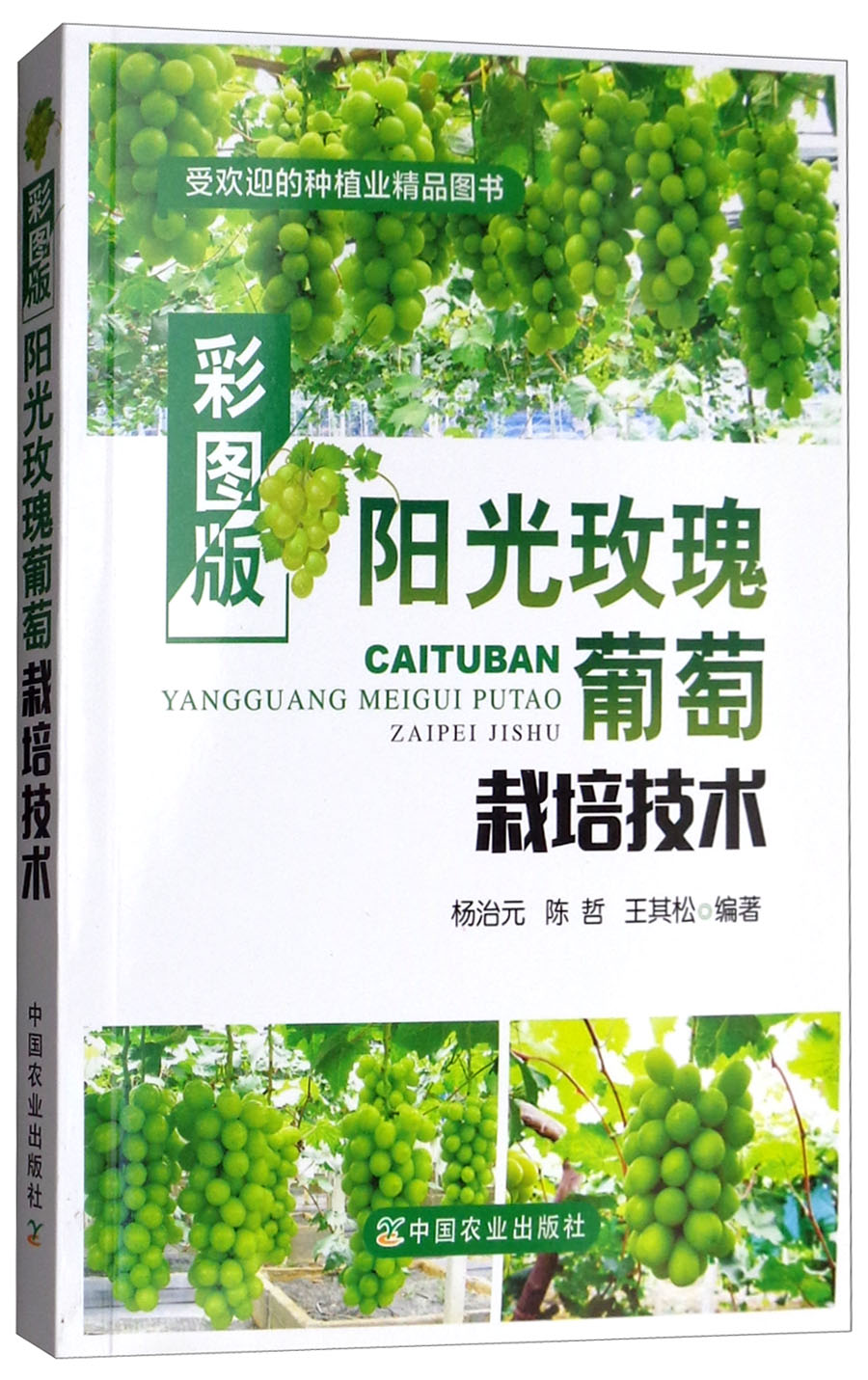 彩图版阳光玫瑰葡萄栽培技术/受欢迎的种植业精品图书