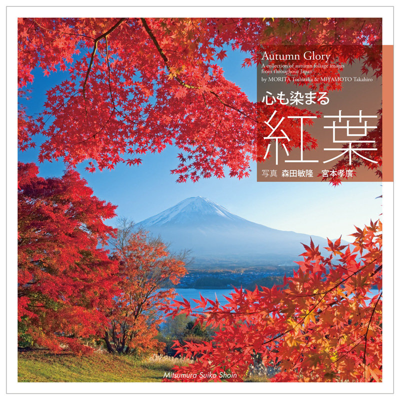 心も染まる 紅葉，心也被染上颜色 红叶 风景叶子摄影日文原版日版日本日本图书书籍善本图书