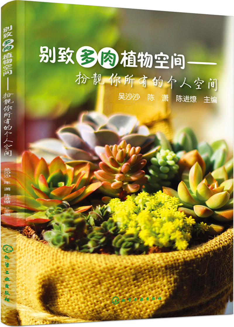 别致多肉植物空间——扮靓你所有的个人空间