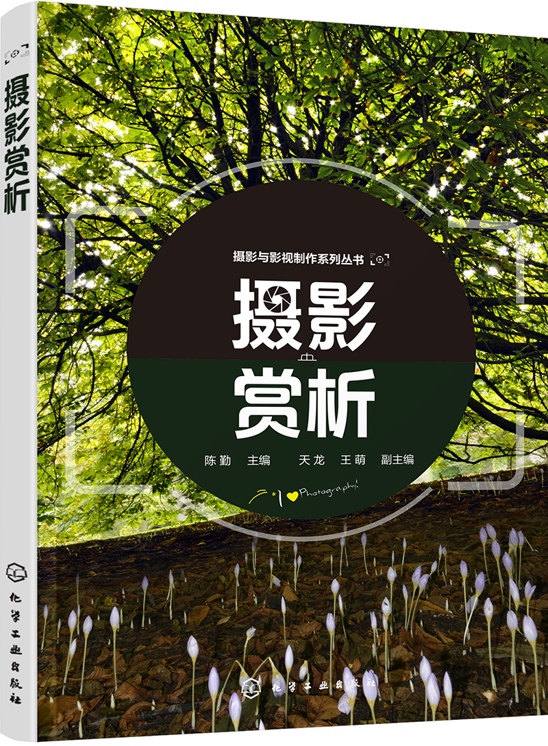 摄影赏析(陈勤)