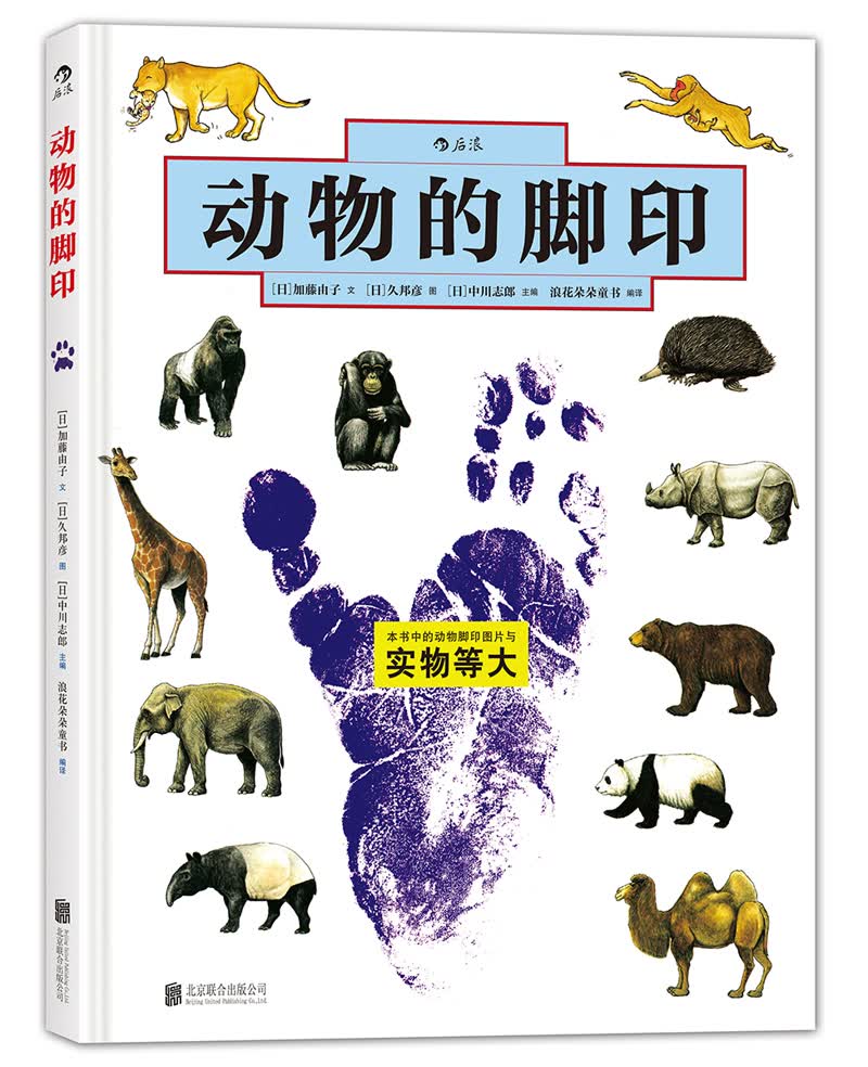 动物的脚印