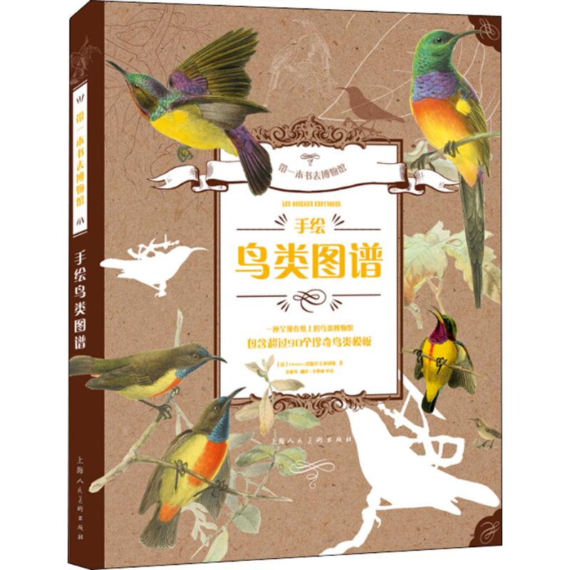 手绘鸟类图谱
