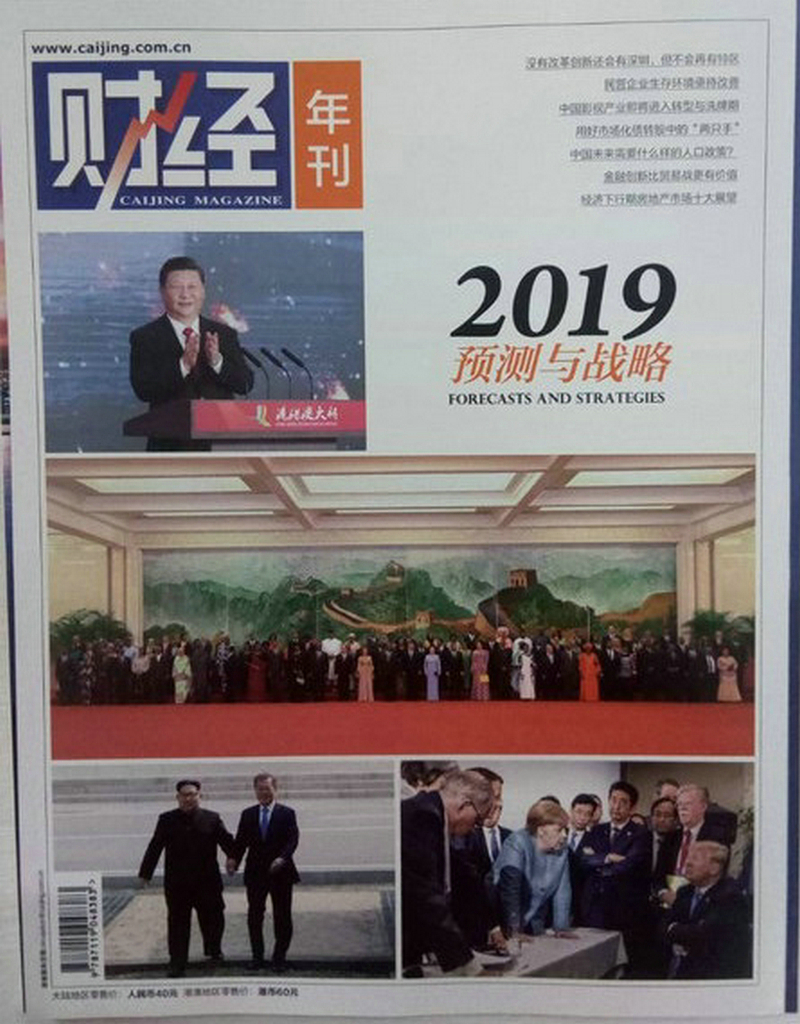 财经年刊（2019年预测与战略）