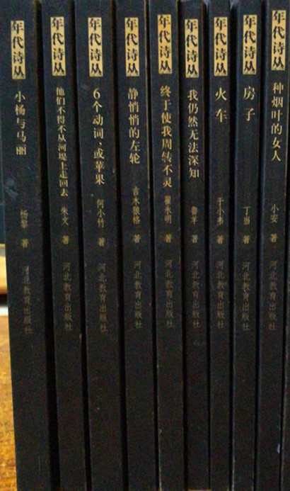 年代诗丛【十一】本合售（爸爸在天上看我 他们不得不从河堤上走回去 终于使我周转不灵 小杨与马丽