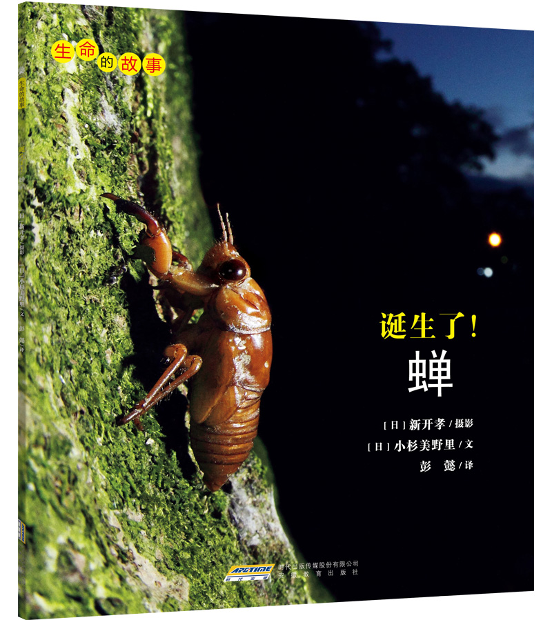 生命的故事：诞生了！蝉