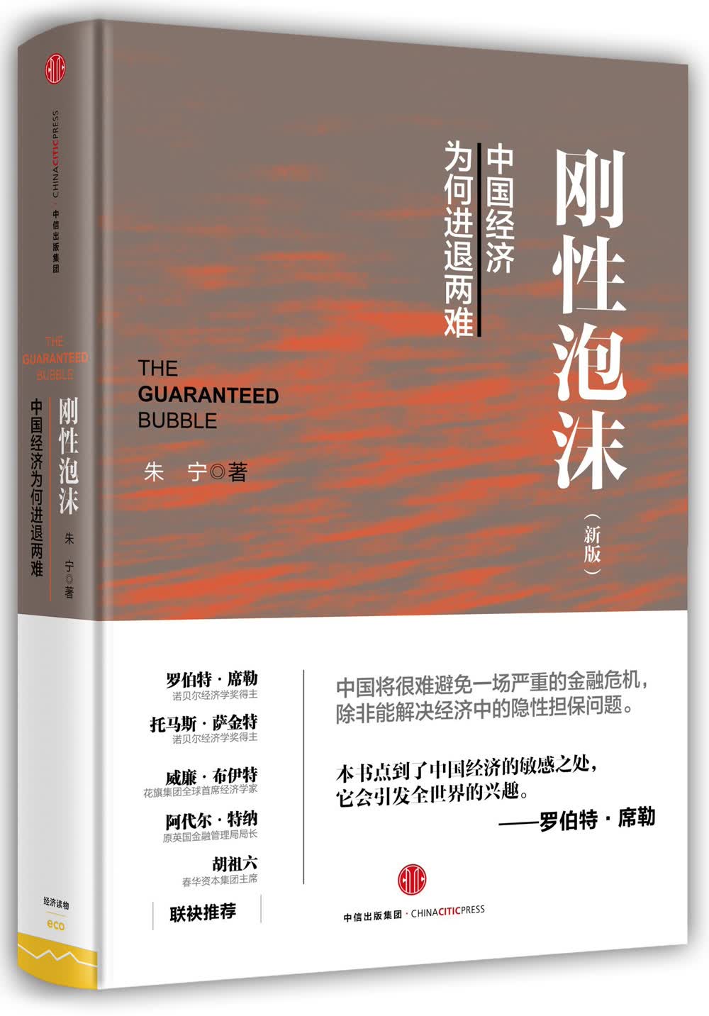 刚性泡沫（新版）朱宁 投资者的敌人、投资者的朋友作者 中信出版社图书