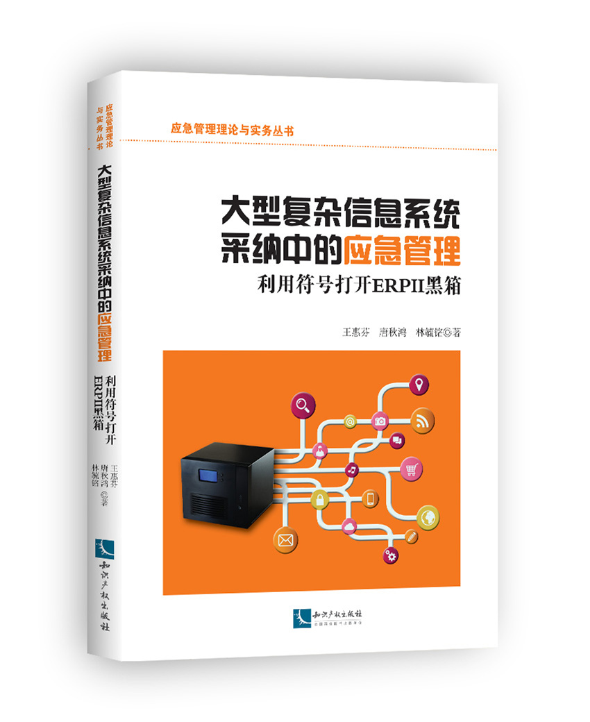 应急管理理论与实务丛书：大型复杂信息系统采纳中的应急管理