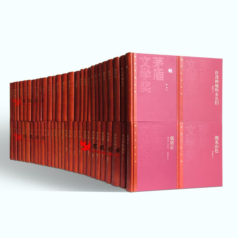 茅盾文学奖【套装36种 精装】张居正 骚动之秋 天行者 推拿 历史上的天空