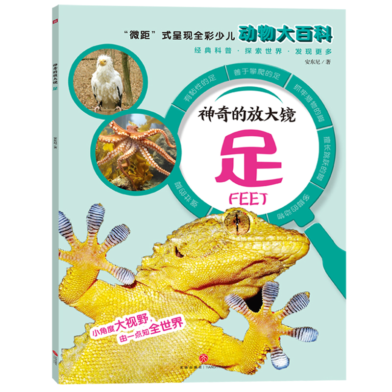 神奇的放大镜 足