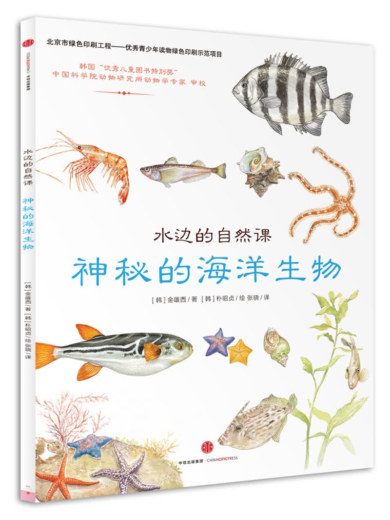 水边的自然课 神秘的海洋生物
